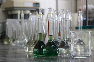 Programa tu visita - CIMAV